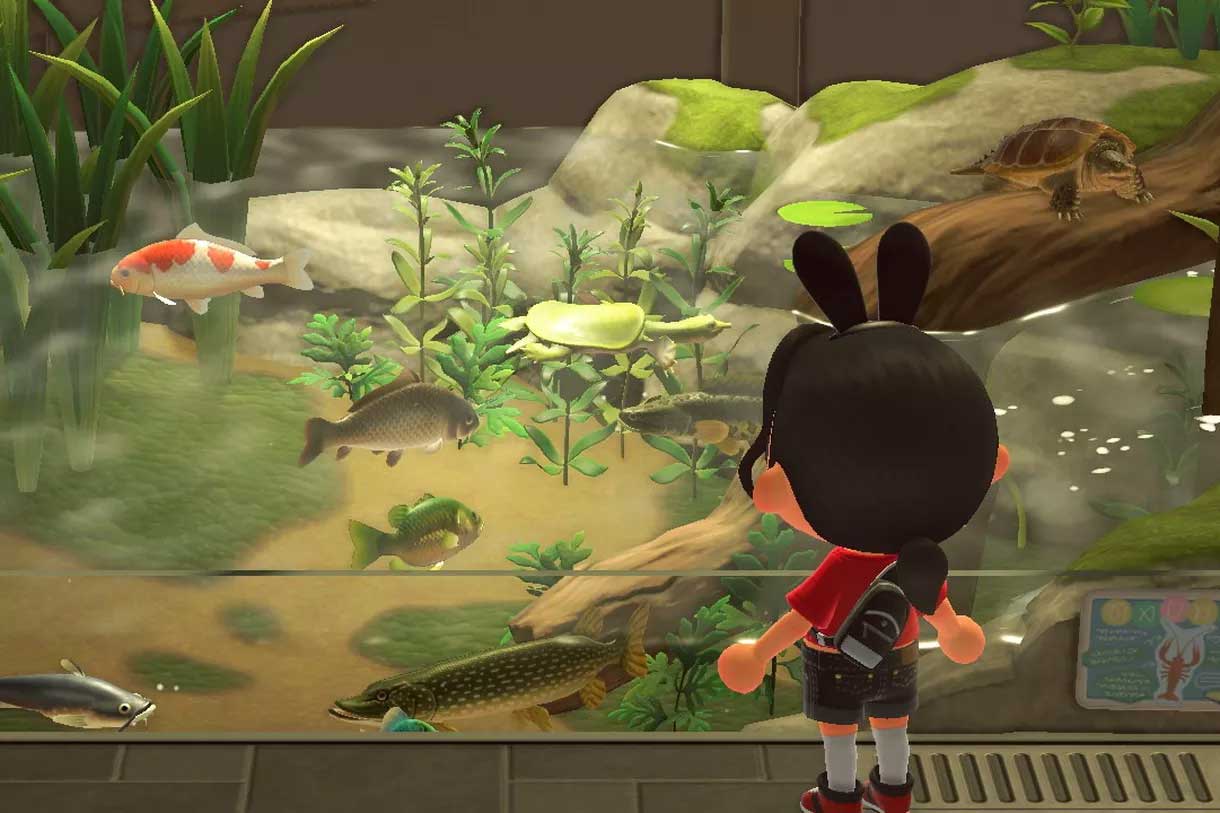 Animal Crossings: New Horizons Gets New Critters To Catch In February ...